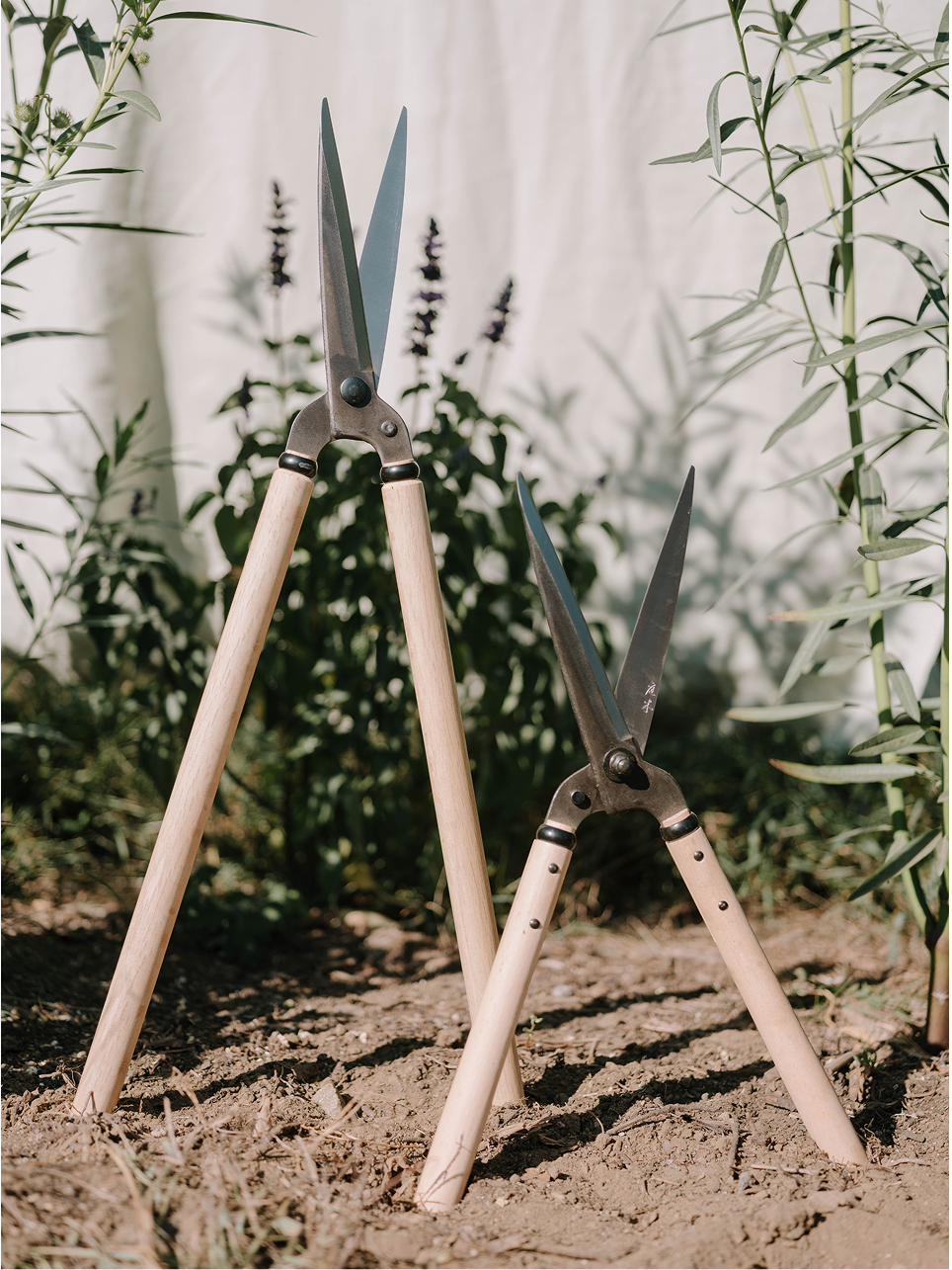 Garden Shears – Spring Road Nursery